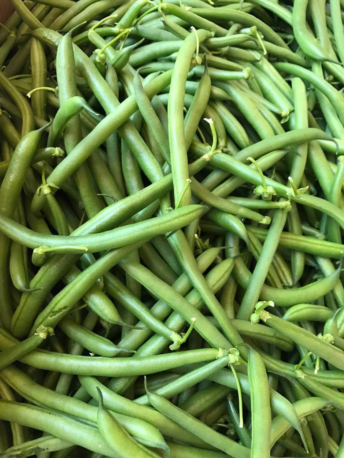 Vegetables & Other Produce - Detering Orchards | Harrisburg, Oregon