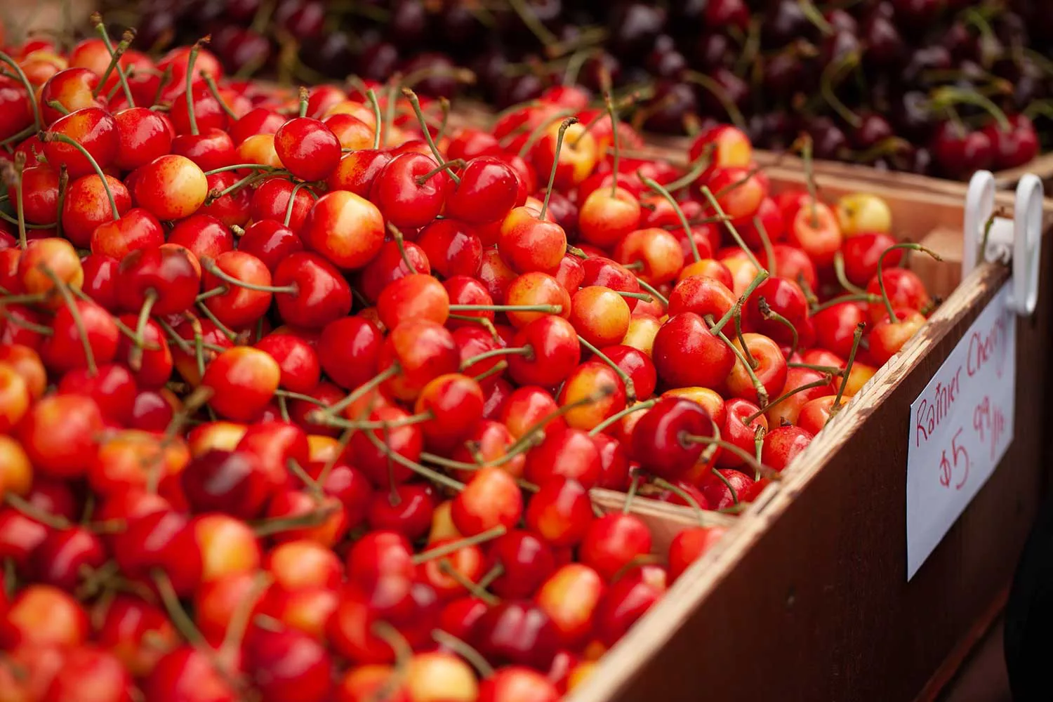 Cherries - Detering Orchards | Harrisburg, Oregon